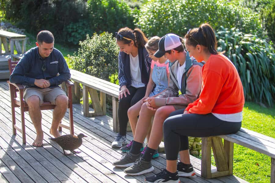 Kapiti Island: Classic Guided Day Tour - Who Would Love This Tour?
