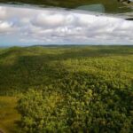 Katherine Gorge Flight from Darwin, with Cruise and Heli Scenic - Who Will Love This Tour?