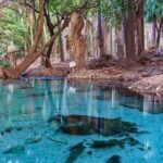 Katherine Gorge - Mataranka - Edith Falls - more... - Mataranka Thermal Pool – A Refreshing Stop