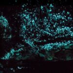 Kawiti Family Glowworm Caves Guided Tour in Bay of Islands - Who Will Enjoy This Tour?