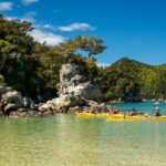 Kayak & Pitt Head Nature Loop - Guided Kayak & Unguided Walk - New Zealand - Why This Tour Works