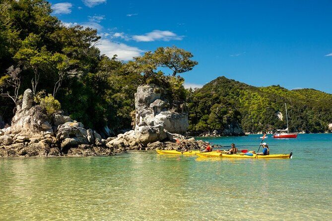 Kayak & Pitt Head Nature Loop - Guided Kayak & Unguided Walk - New Zealand - Why This Tour Works