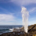 Kiama Coastal Day Tour in Sea Cliff Bridge Blowhole and Wildlife - Practical Details and What to Expect
