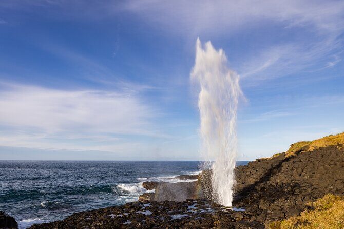 Kiama Coastal Day Tour in Sea Cliff Bridge Blowhole and Wildlife - Practical Details and What to Expect