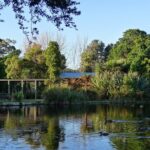 Kiwi Night Encounter at Nga Manu Nature Reserve - FAQ