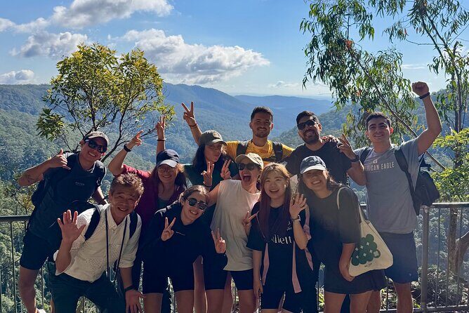 Koalas, 6 Springbrook Waterfalls and Natural Bridge Day Tour - Goomoolahra Falls: A Serene Cascade