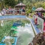 Koror City Tour - A Detailed Breakdown of the Itinerary