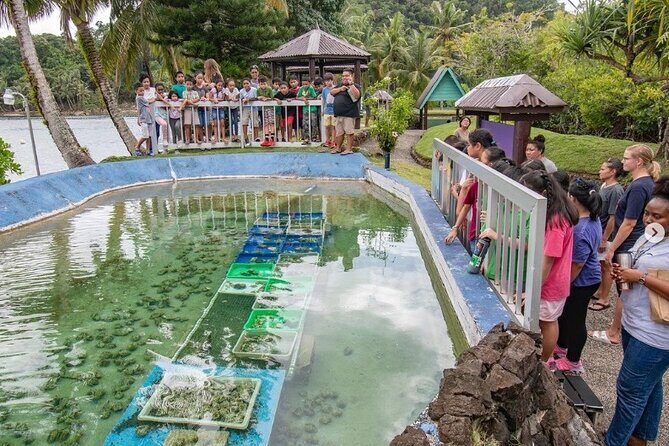 Koror City Tour - A Detailed Breakdown of the Itinerary