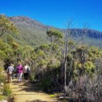 kunanyi/Mt Wellington Ultimate Experience Afternoon Tour - Authentic Experiences from Past Travelers