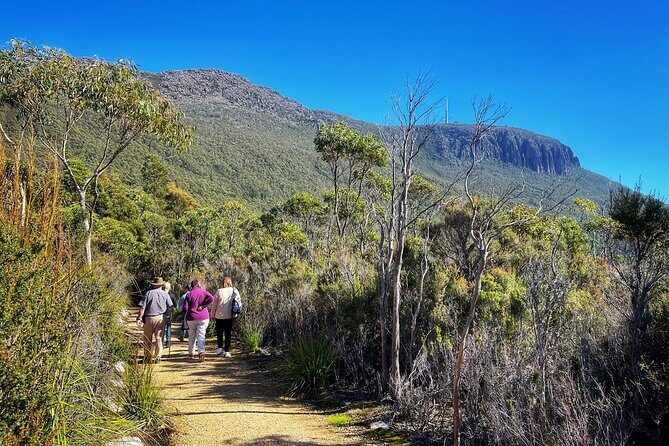 kunanyi/Mt Wellington Ultimate Experience Afternoon Tour - Authentic Experiences from Past Travelers