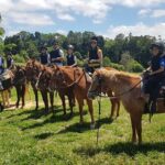 Kuranda 60 minute Horse Trail Ride and Petting Farm - An Overview of the Experience