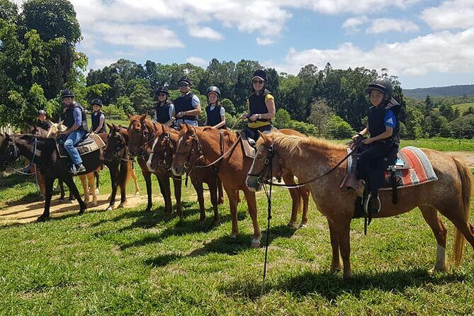 Kuranda 60 minute Horse Trail Ride and Petting Farm - An Overview of the Experience