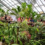 Kuranda: Australian Butterfly Sanctuary - What to Expect During Your Visit