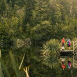 Lake Matheson Nature Tour - Detailed Breakdown of the Itinerary