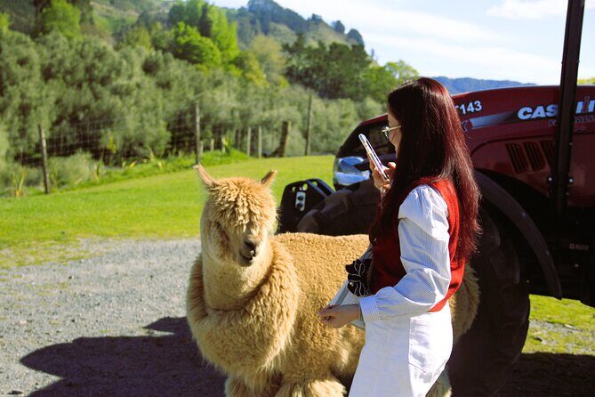 Lake Tekapo Stargazing & Mount Cook 2-Day Tour from Christchurch - The Experience in Detail