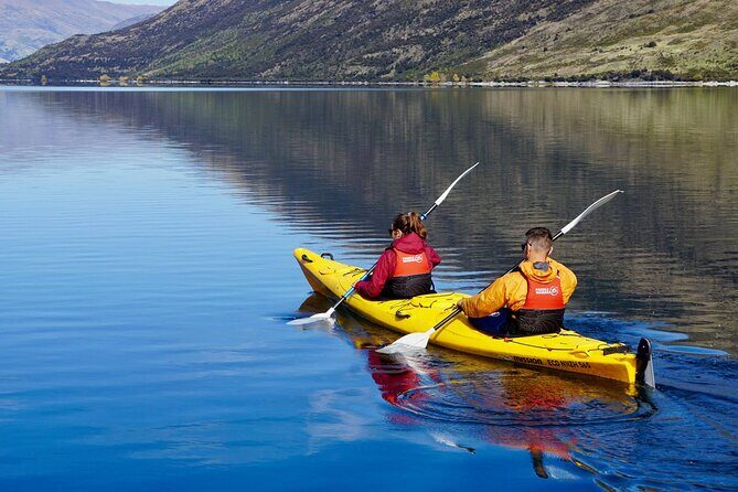 Lake Wanaka Roy's Bay Kayak Tour - What to Expect During Your Kayak Adventure