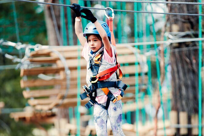 Lane Poole Park Dwellingup - Junior Tree Ropes & Ziplining - The Sum Up