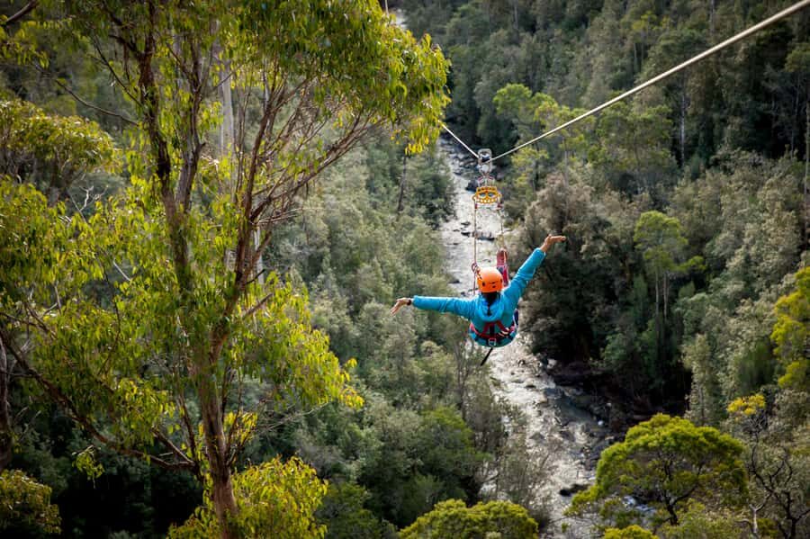 Launceston: Hollybank Forest Treetop Zip Lining with Guide - Who Is This Tour Best Suited For?