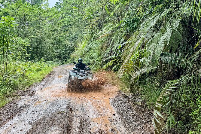 Legends of the Highland ATV Quad Bike Jungle Adventure - Exploring the Itinerary: What to Expect