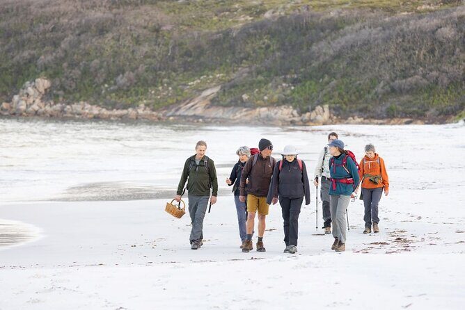 Lighting the Sound Uredale Twilight Hike - The Starting Point: Whalers Cove