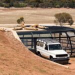 Lions 360 Experience and a Day at Monarto Safari Park - The Verdict: Who Will Love This Tour?