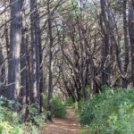 Lord of the Rings 1/2 day Tour to rule them all incl. Weta Tour - The Sum Up