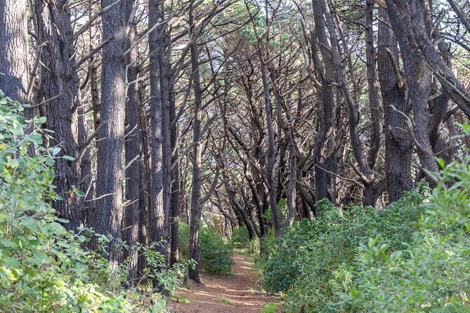 Lord of the Rings 1/2 day Tour to rule them all incl. Weta Tour - The Sum Up