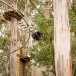 Lorne: Live Wire Park Ticket with Zip Line Rollercoaster - The Heart of the Experience: The Zip Line Rollercoaster