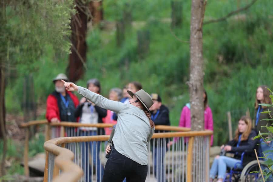 Luxe Bus Great Ocean Road Coastal Spectacular - What to Expect: The Practicalities