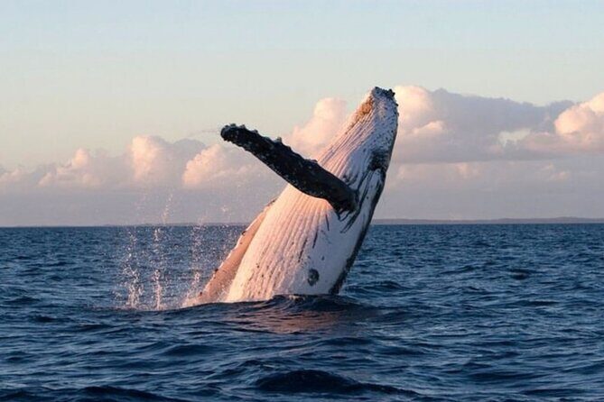 Lyttleton Port Excursion Day Tour 3 options for Cruise travelers - Practical Details: How It Works