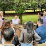 Macadamias Australia Orchard Tour in Bundaberg - The Value of the Tour: Is It Worth It?