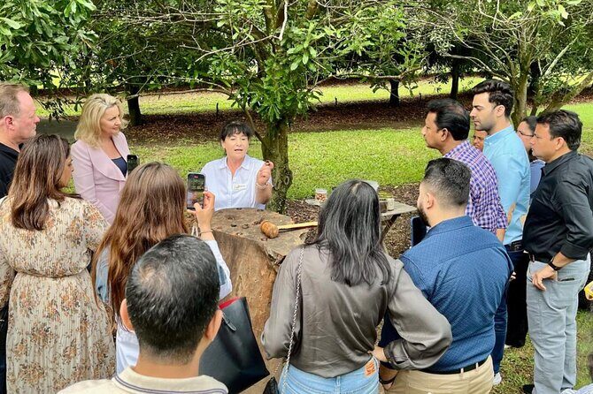 Macadamias Australia Orchard Tour in Bundaberg - The Value of the Tour: Is It Worth It?