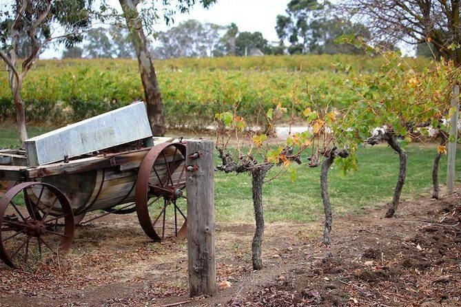 Maggie Beer Farm - Barossa Valley Regional Tour - Why This Tour Offers Great Value