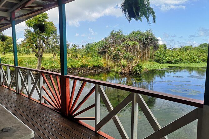 Mangrove to Lagoon Kayak and Paddleboard Adventure - What does the itinerary include?