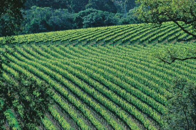 Margaret River Private Tour - The Sum Up