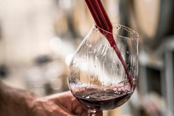 Marlborough Afternoon Wine Tour Taste Local Wines - The Sum Up