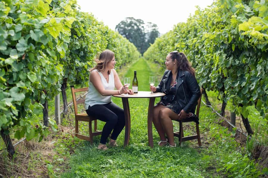 Marlborough Half Day Wine Tour From Picton 1pm - Guides and Personal Touches