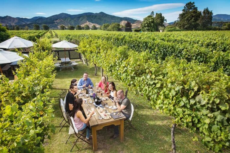 Marlborough Wine Tour: Including Cloudy Bay and Lunch - What to Expect from the Marlborough Wine Tour
