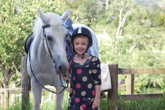 Matakana Art & Horse Riding Experience Private Tour From Auckland - An In-Depth Look at the Tour Itinerary