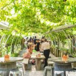 Matakana Explorer Tour - Final Thoughts