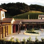 Matakana Riverside Market, Beaches and Winery Tour from Auckland - Who Will Love This Tour?