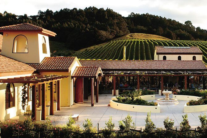 Matakana Riverside Market, Beaches and Winery Tour from Auckland - Who Will Love This Tour?