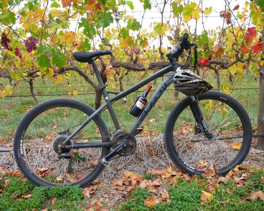 Mclaren Vale Hills Vines and Wines Bike Tour from Adelaide - The Ride: Balance of Adventure and Relaxation
