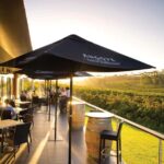 McLaren Vale North: Hop-On Hop-Off Tour - The Wineries and Scenic Stops
