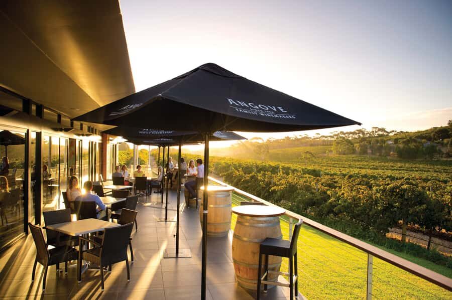 McLaren Vale North: Hop-On Hop-Off Tour - The Wineries and Scenic Stops