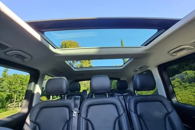 McLaren Vale Small Shared Tour with Wine Tasting and Lunch - Practical Details and Booking