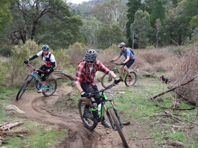 Melbourne: 1-Day Mountain Biking Adventure with Lunch - What Makes This Tour Stand Out