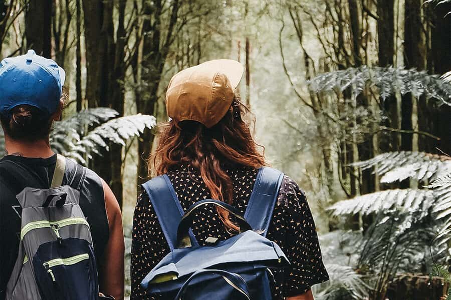 Melbourne: 12 Apostles, Otways & Great Ocean Road Day Tour - A Deep Dive into the Experience