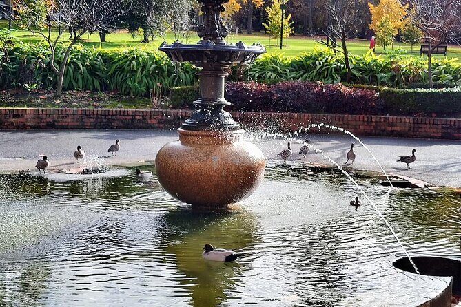 Melbourne and Moonlit Sanctuary Shore Excursion - Meeting Points and Practicalities