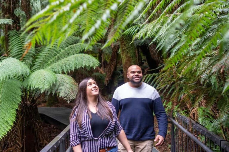 Melbourne: Great Ocean Road Ultimate 12 Apostles with Lunch - An Overview of the Tour Experience